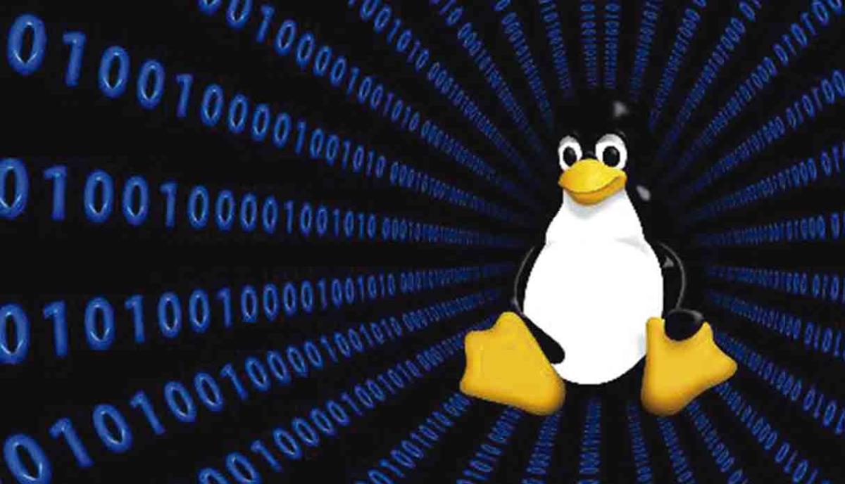 El sistema operativo Linux cumple 25 años - Exitosa Noticias