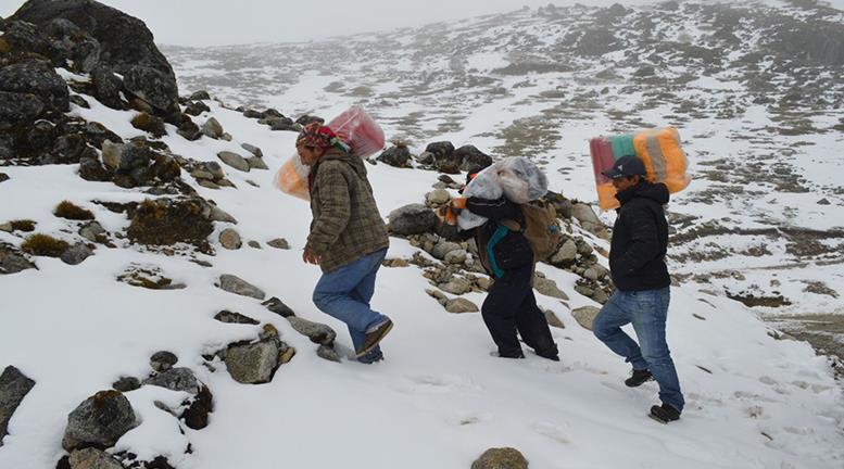 Puno: Distrito de Santa Rosa soportó temperatura más baja del país con ...