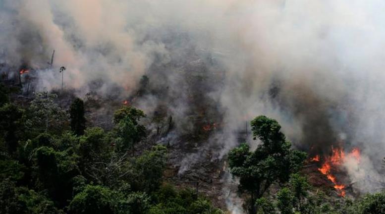 Incendio forestal de la Amazonía afecta a Perú - Exitosa Noticias