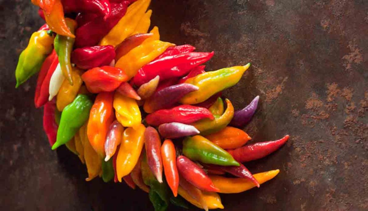 Buscan que el ají sea reconocido mundialmente - Exitosa Noticias