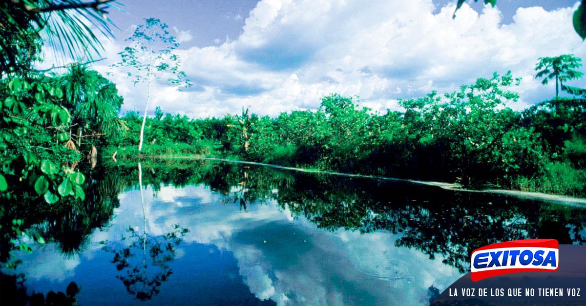 El Perú está entre los diez países con más bosques tropicales del mundo ...