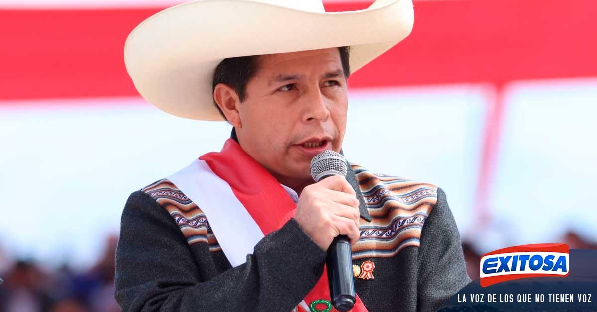 Presidente Castillo: "En los primeros 100 días de Gobierno impulsamos ...