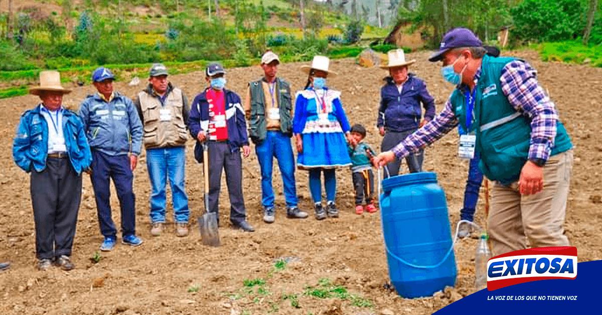 Áncash: Productores de Pamparomás mejoran sus actividades de campo ...