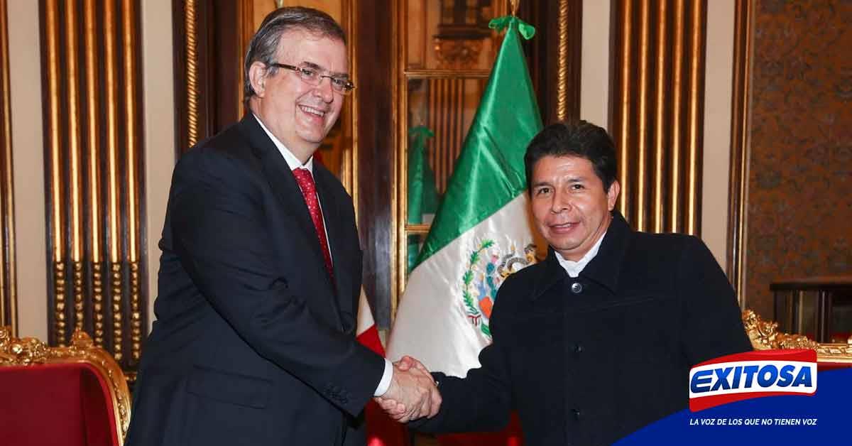 Canciller de México: Pedro Castillo ha ratificado la solicitud de asilo ...