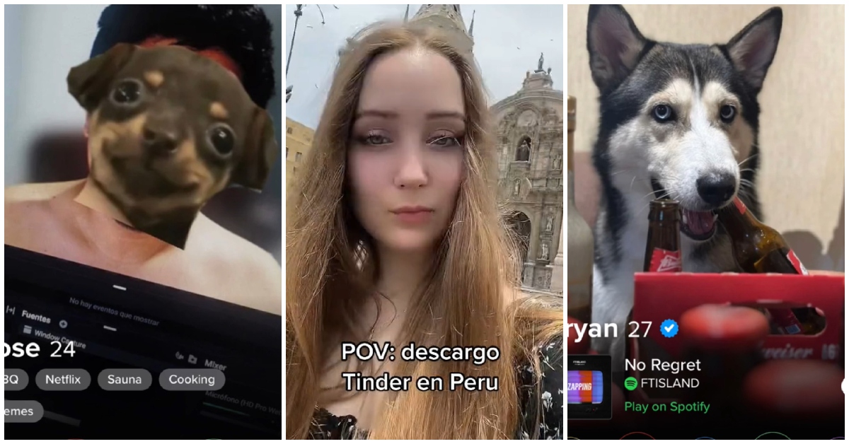 Extranjera descarga Tinder en Perú y se sorprende al encontrar perfiles con fotos de perros ...