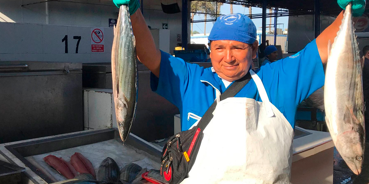 El precio del pescado se mantiene en terminal del Callao - Exitosa Noticias
