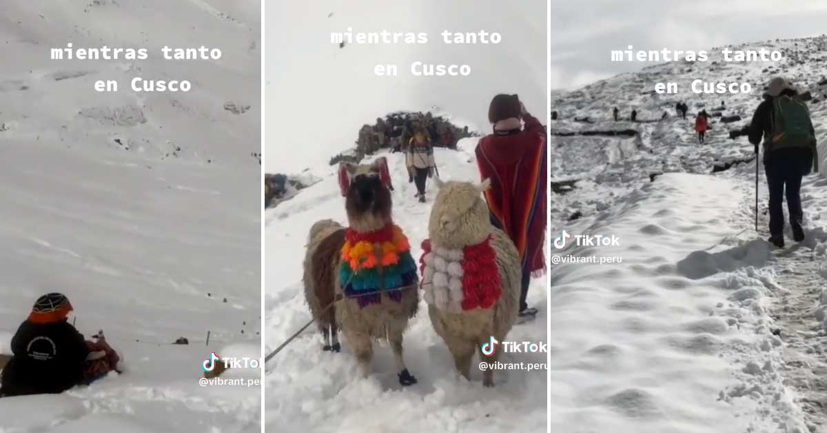 "Son 7 tonos de blanco": Turistas se ven afectados por la nevada en ...