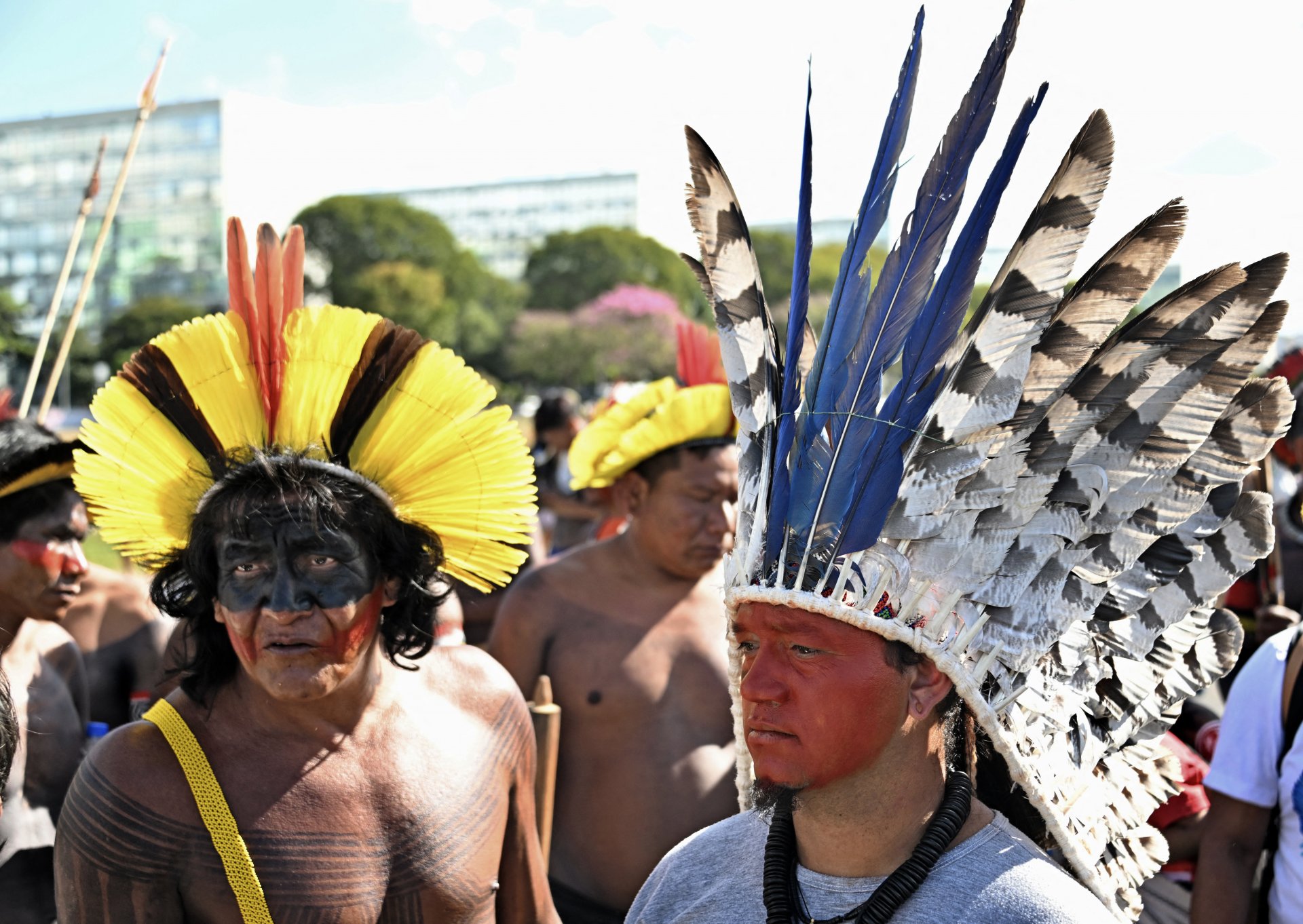 ¿Qué se define en el "juicio del siglo" sobre las tierras indígenas en ...