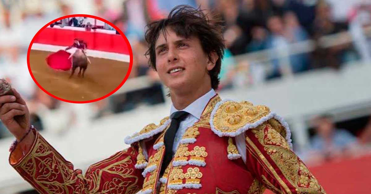 Andrés Roca Rey: Torero peruano queda con pronóstico reservado tras ser ...