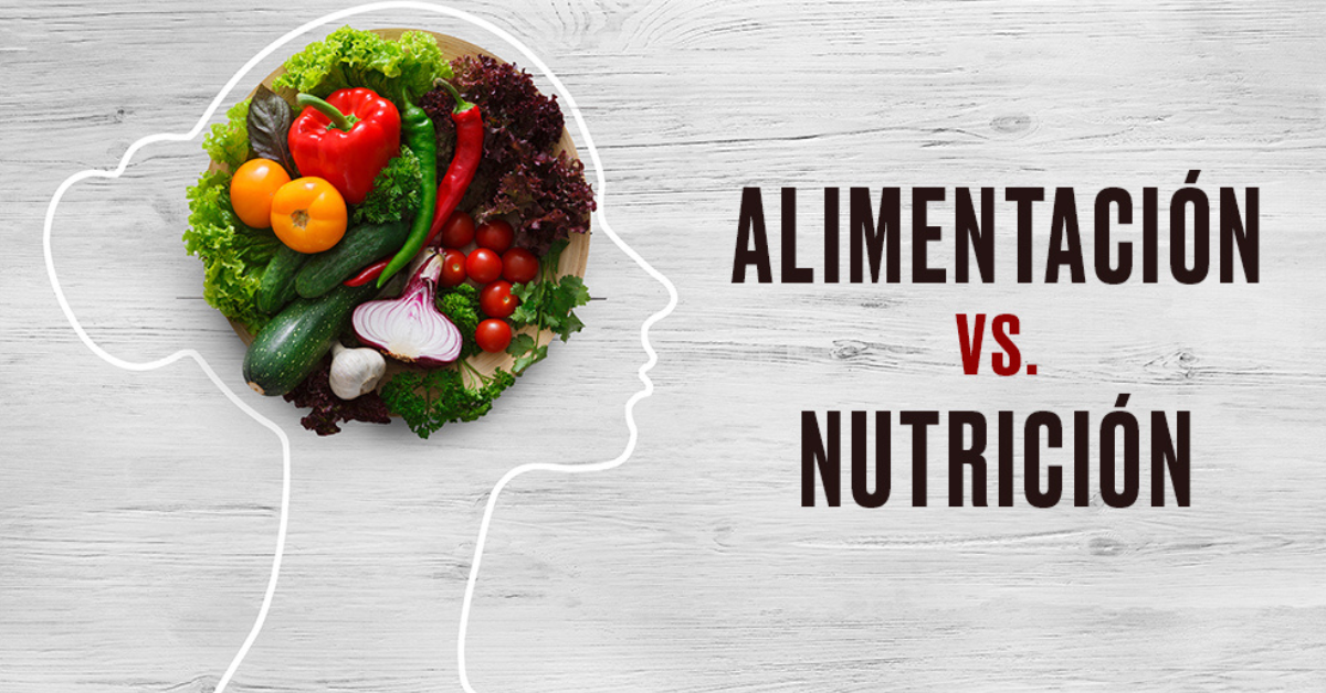 Curiosidades: ¿Qué diferencias existen entre la alimentación y la ...