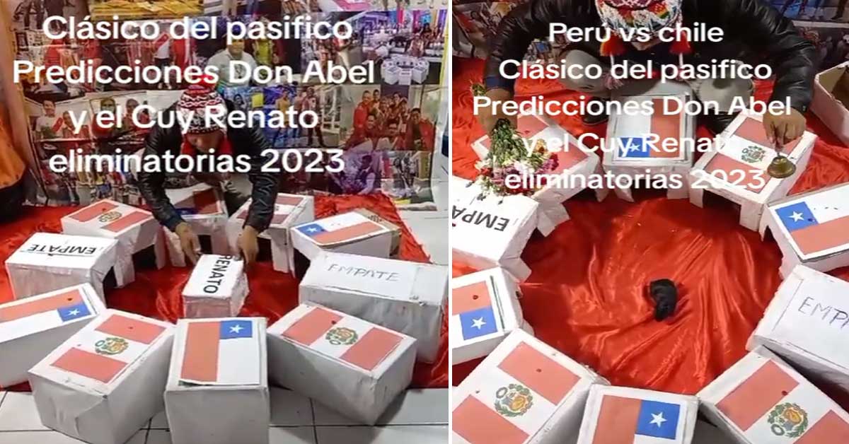 ¿Perú logrará vencer a Chile? Cuy Renato sorprende a los hinchas con su ...