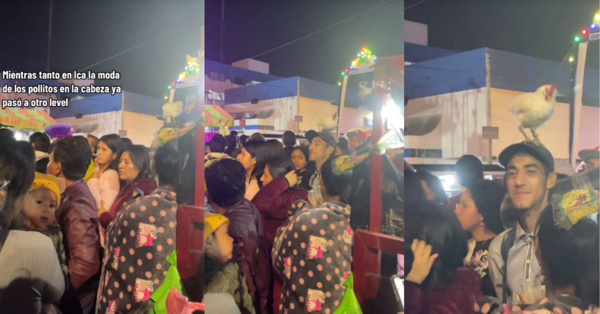¡La fiebre de los patitos! Joven sorprende con pollo real en la cabeza: "¿Cómo es posible este ...