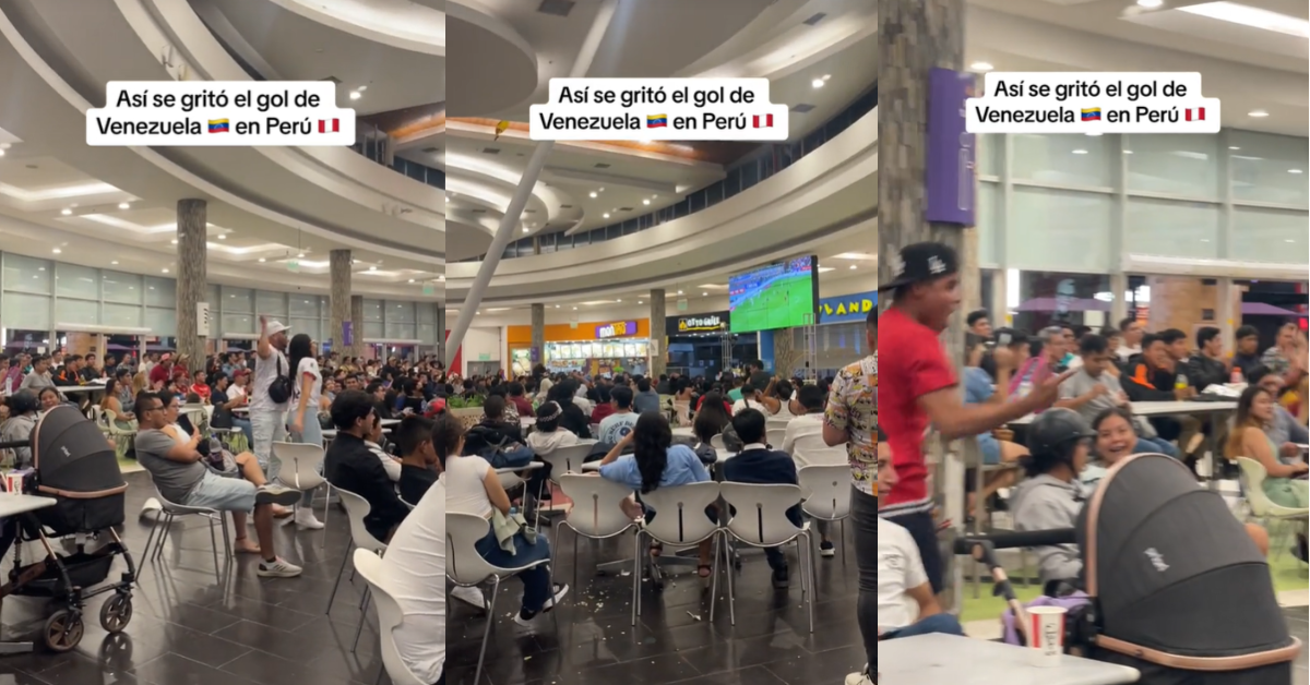 Hinchada venezolana celebró gol de empate ante Perú y usuarios ...