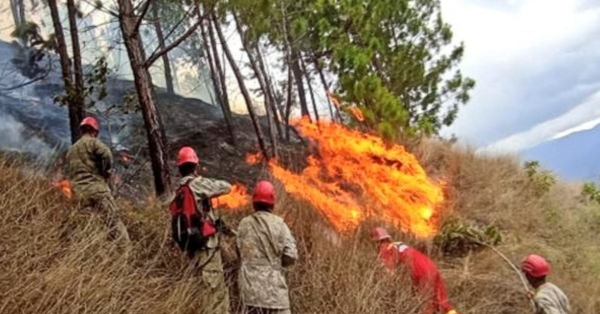 Incendio forestal en Arequipa: Siniestro en provincia de Caravelí se ...