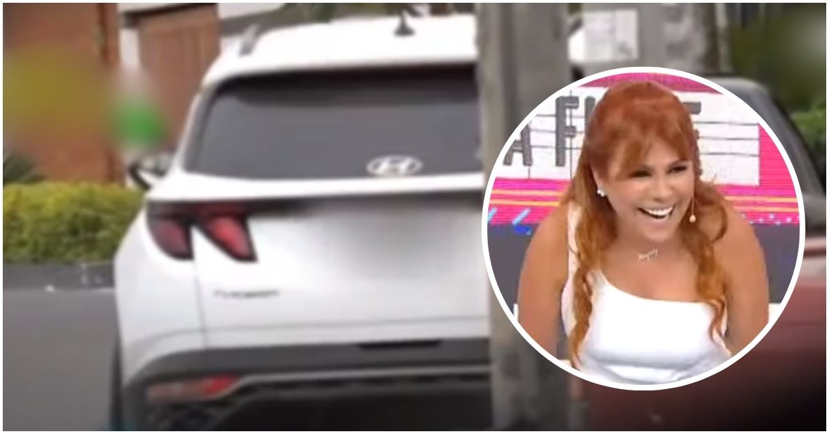 'Mi auto era una rana': ¿Por qué la canción de Pedro Suárez Vértiz se ...