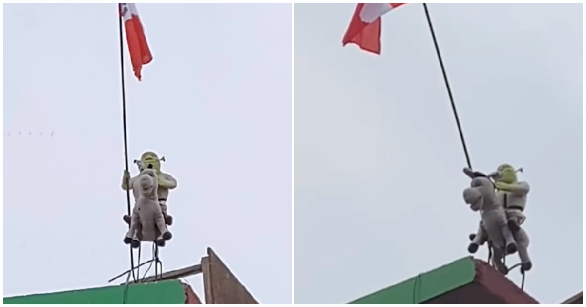 Peruano elige a Shrek en lugar de Alfonso Ugarte para sostener su ...
