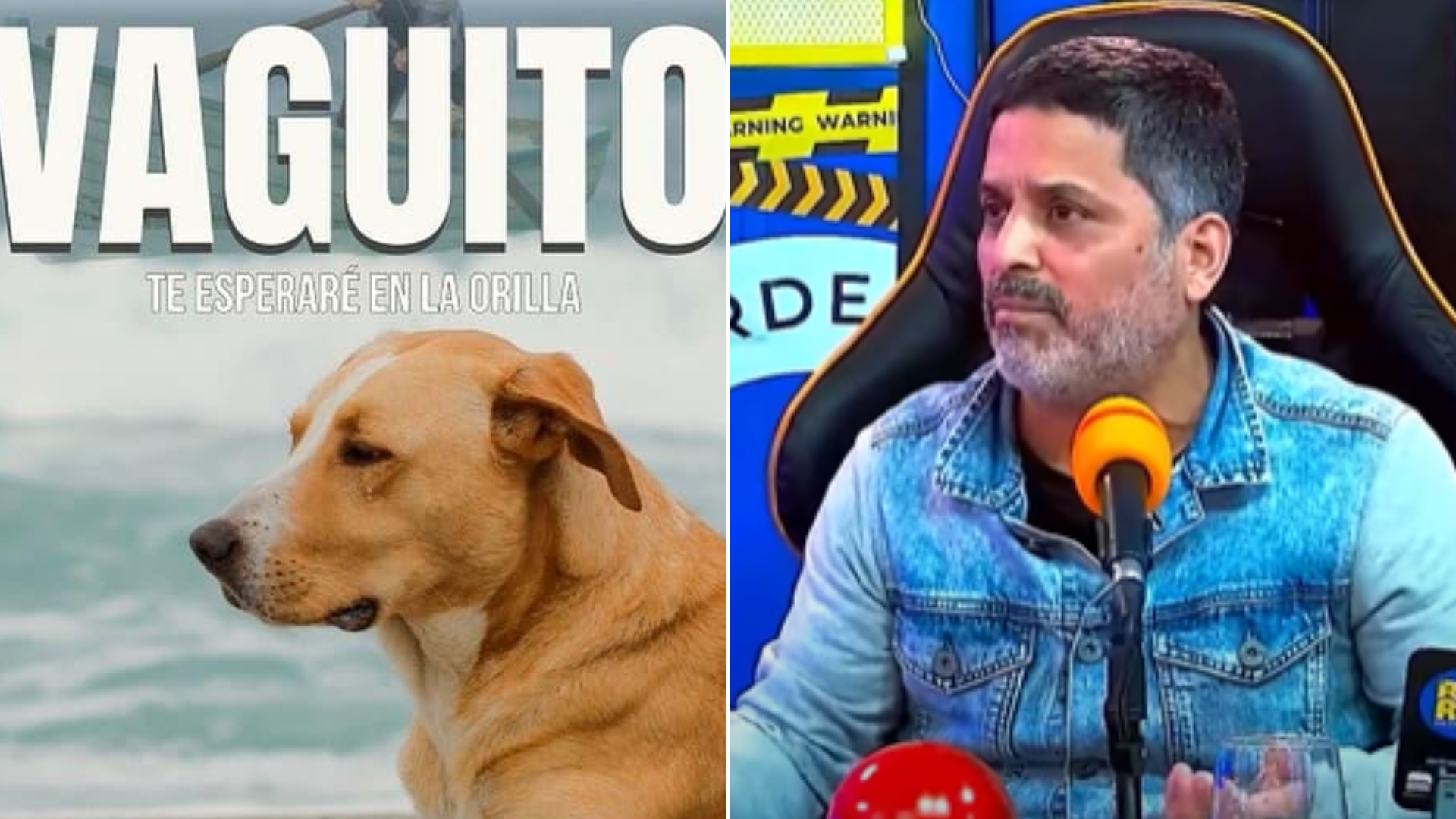 Director de 'Vaguito' desata POLÉMICA por revelar donación con dinero de taquilla: "¡Revísalo pues!