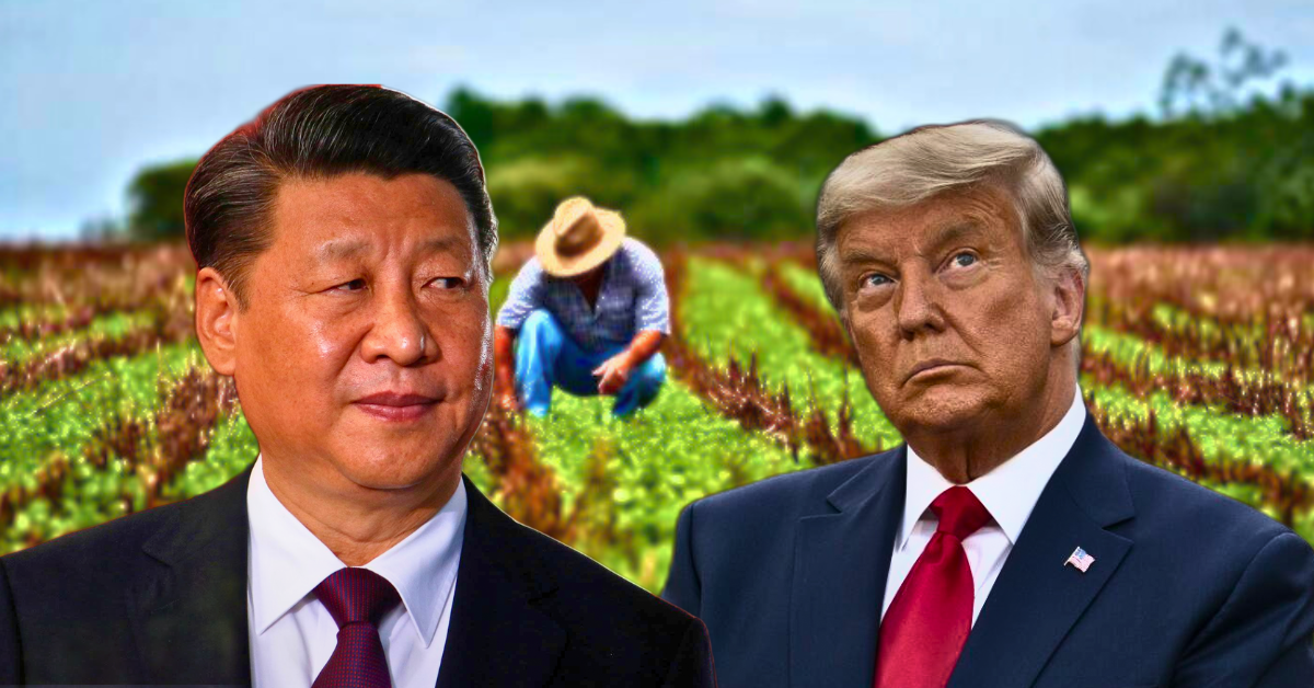 Guerra arancelaria entre EE.UU. y China se acentúa: ¿Qué actividades económicas del Perú se ...