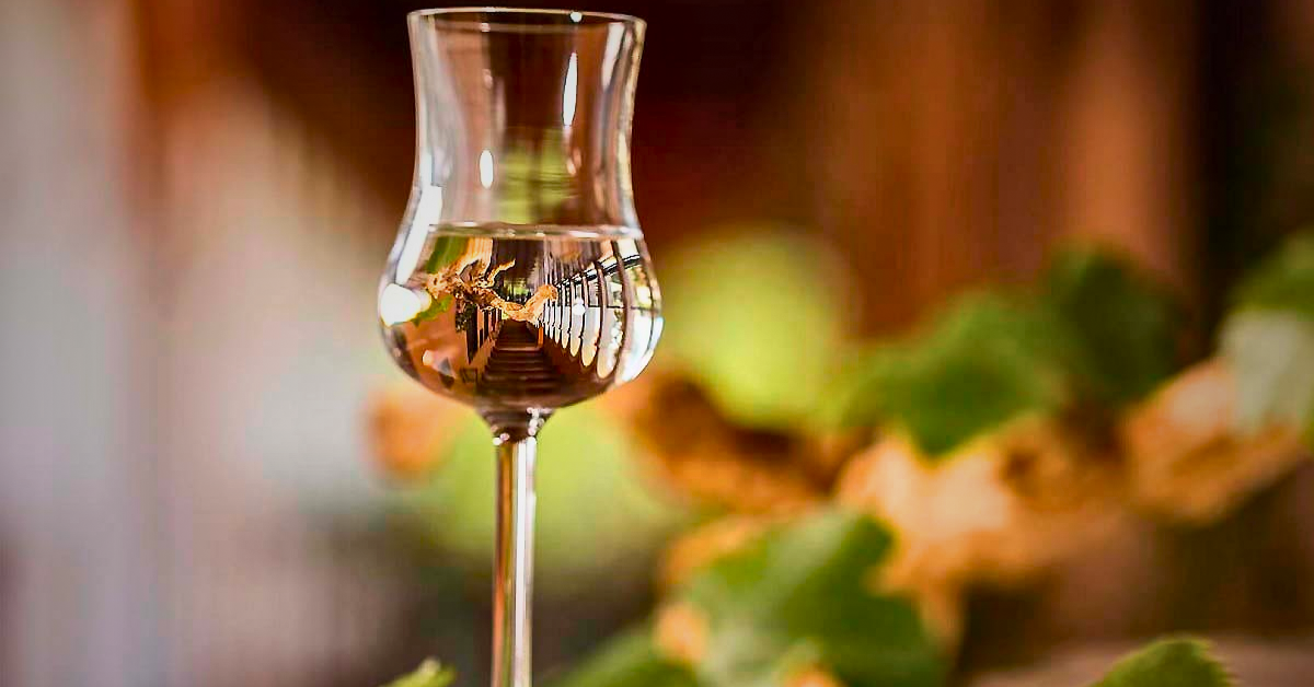 Día Nacional del Pisco 2025: ¿Cuándo y por qué se celebra a la bebida bandera del Perú ...