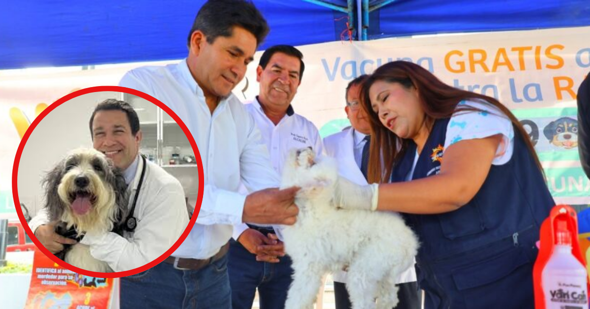 ¡A tomar en cuenta! Rodrigo Rondón nos explica qué hacer tras la ...