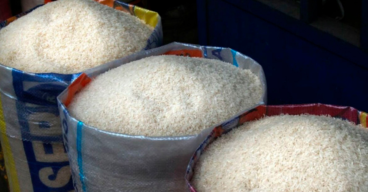 Productores de arroz advierten que grano importado de Asia está ...